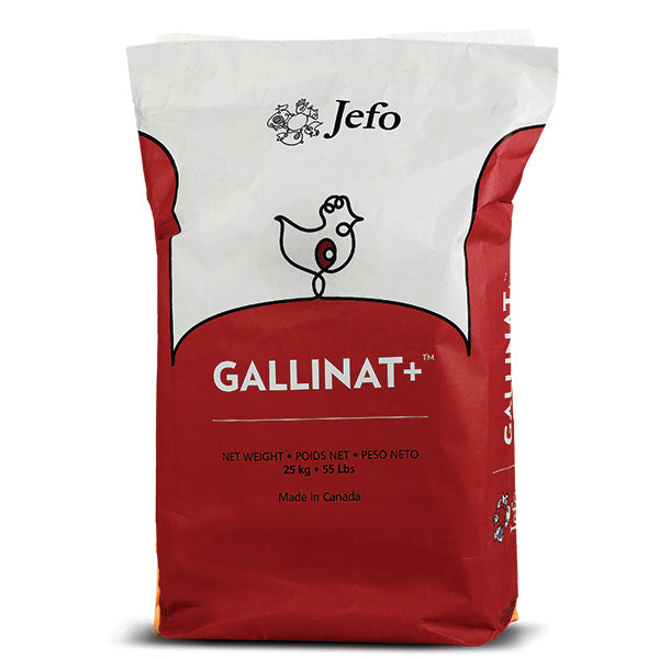 GALLINAT PLUS – FeedsForLess.com